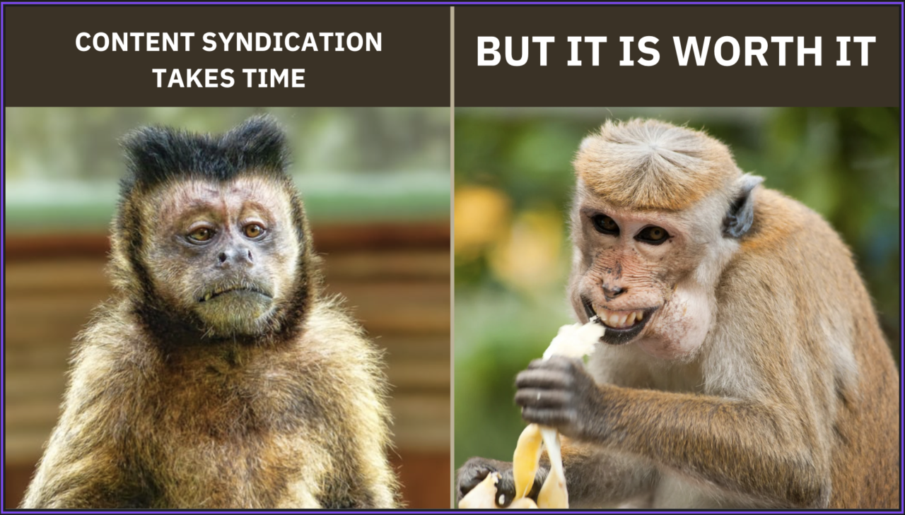 Expert Guide to Content Syndication: Maximize Reach and Impact - SERPninja